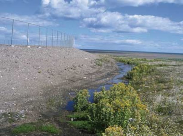 Engineered wetlands a potential solution for north wastewater