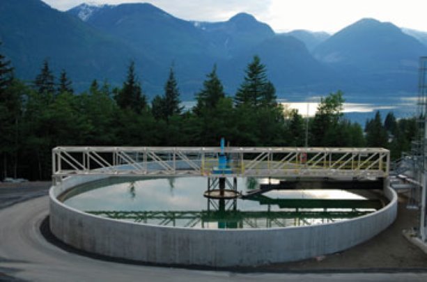 Remediation brings Howe Sound back to life