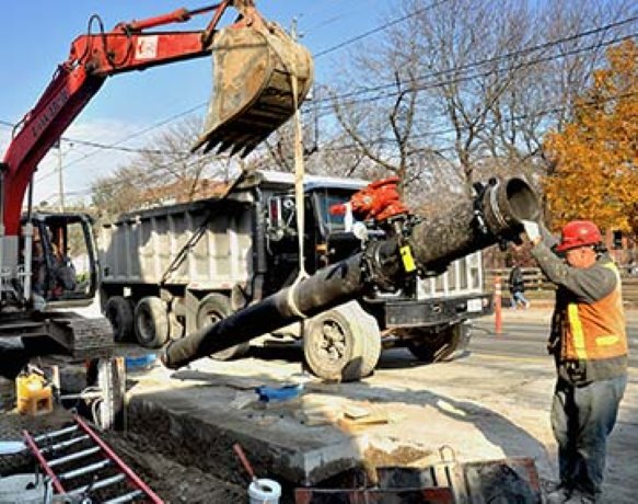 PHOTO: A Helping Hand