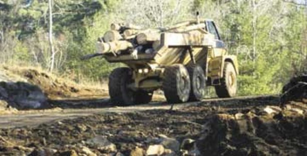 Deloro mine remediation will take several generations to complete