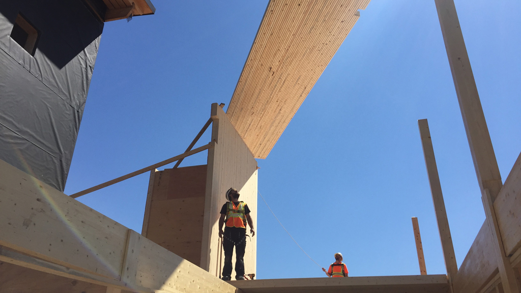 New StructureCraft HQ goes all-in on wood