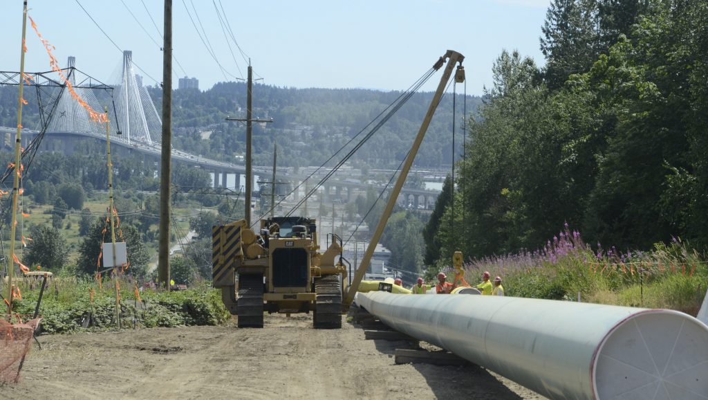 Constructors mixed on new federal EA process