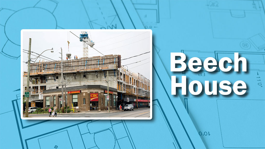 PHOTO: Bucket Full of Beech