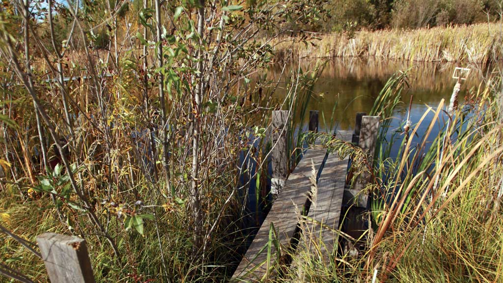 New Landform Design Institute to boost reclamation standards