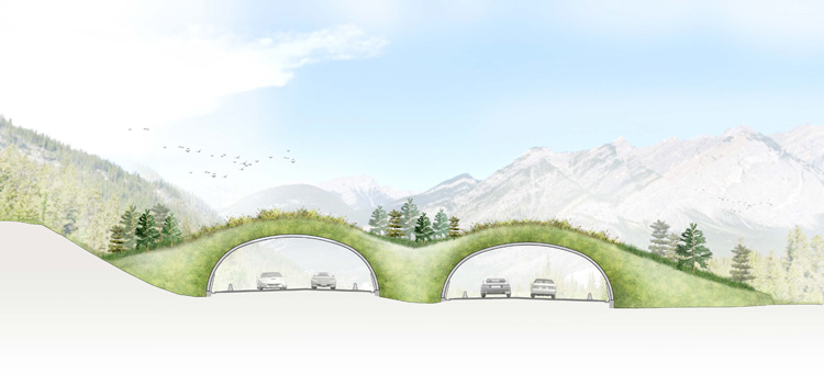 Crossing for critters breaks ground