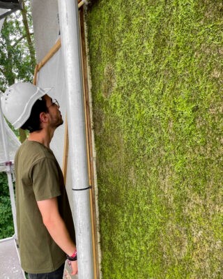 Concrete Feature: Moss concrete covering many urban construction challenges