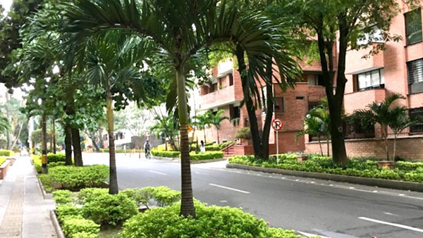 Summers in the city cry out for more trees