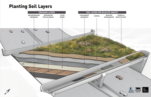 Final phase underway for $92M California wildlife crossing