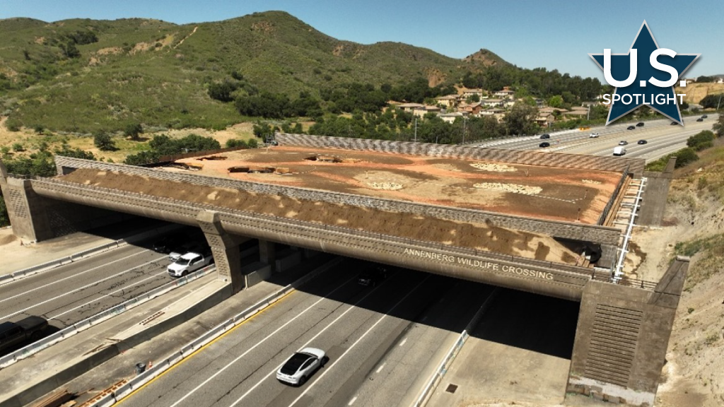 Final phase underway for $92M California wildlife crossing